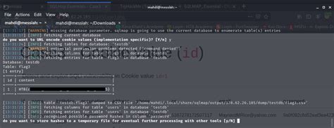 Sqlmap And Web Attacks Grey Hat Developer