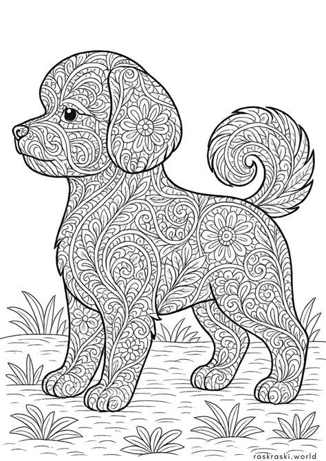 Раскраски Антистресс для детей и взрослых распечатать бесплатно А4 скачать для печати Раскраски