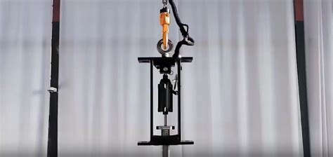 first principles thinking bot runtime