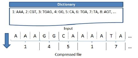 Example For Dictionary Based Algorithms Download Scientific Diagram