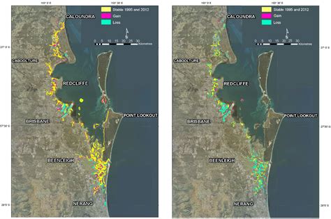 Mangroves And Saltmarshes Of Moreton Bay Moreton Bay Foundation