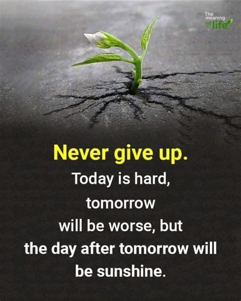 Jignesh Panchal Posted On Linkedin