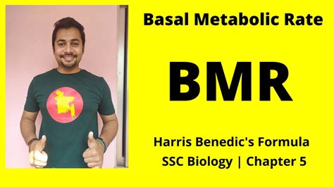 Calculate Bmr Using Harris Benedict Equation At Shirley Bulger Blog
