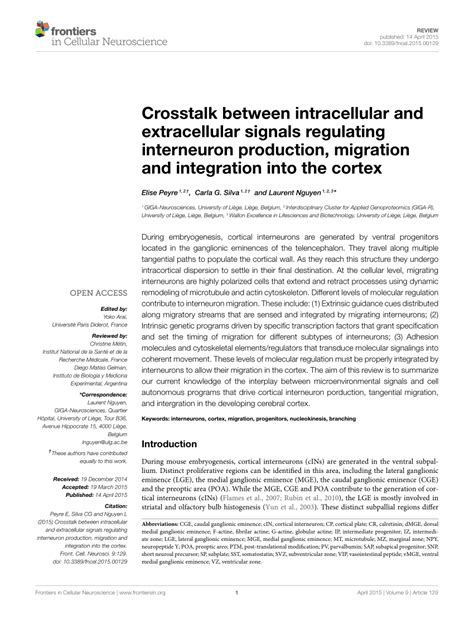Pdf Crosstalk Between Intracellular And Extracellular Signals Regulating Interneuron