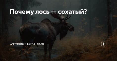 Почему лось — сохатый Аргументы и факты Дзен