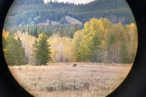 Nocs Provisions 10x30 Field Issue Binocular Review Waterproof Fogproof Affordable And Sharp