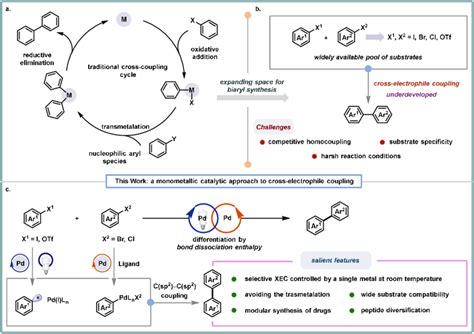 Csp 2 Csp 2 Cross Electrophile Coupling Via Visible Light