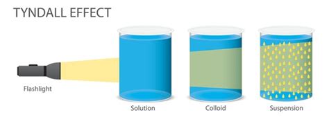 Colloids