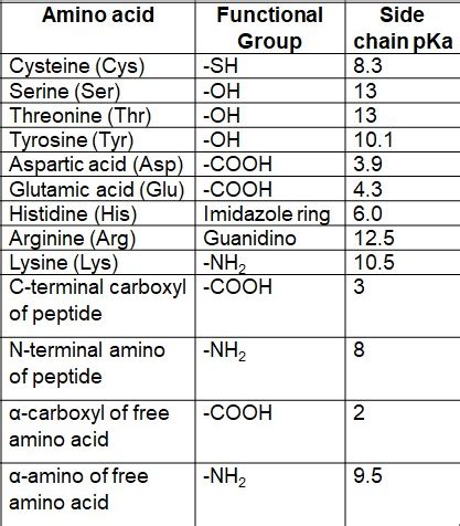 Solved Calculate The Net Charge For The Following Peptide Chegg Com