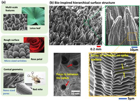 Bio Inspired Design Lambda