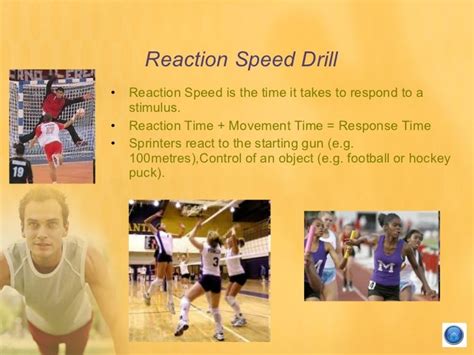 Example Of Reaction Time In Physical Fitness Test At Marjorie Lockett Blog