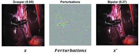 The Original Image X The Perturbation Subtracted From X Using The Download Scientific Diagram