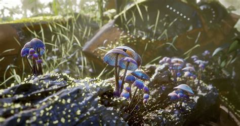 Radeon Prorender For Blender Released