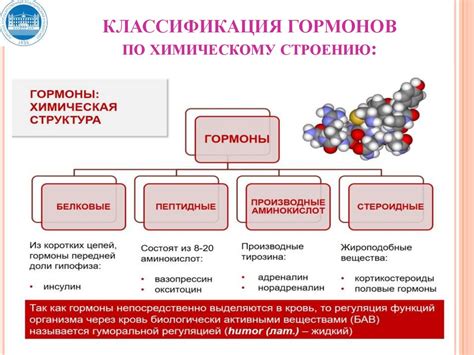 Химическая природа биосинтез секреция и катаболизм гормонов презентация онлайн