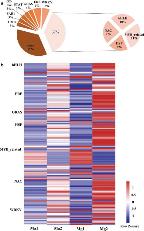 Distribution And Expression Of The Transcription Factor Families Of Download Scientific Diagram
