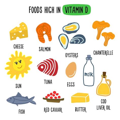 Premium Vector Foods High In Vitamin D Vector Illustration With Healthy Foods Rich In Vitamin D