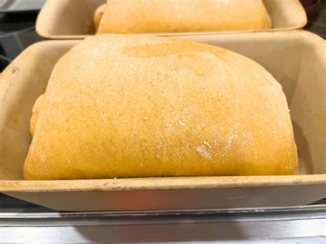 Old Fashioned Cornmeal Molasses Brown Bread Flour And Filigree