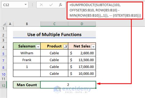How To Count Filtered Cells With Text In Excel 3 Methods Exceldemy