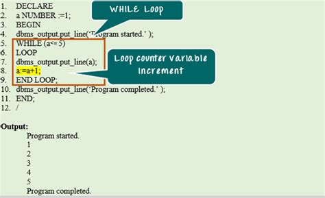While Loop In Oracle Plsql With Example