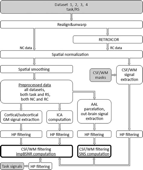 Schematic Pipeline Depiction Of Fmri Data Preprocessing And Computation