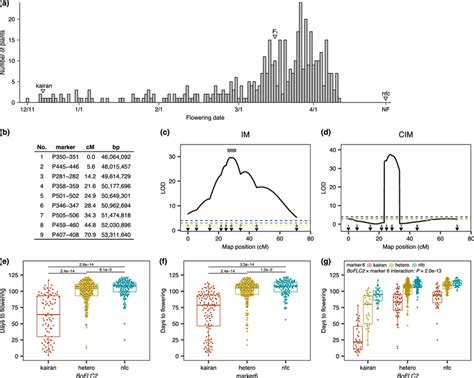 Fine Mapping Of The Qtl Region Using Qtl Analysis In ‘kairan × ‘nfc Download Scientific
