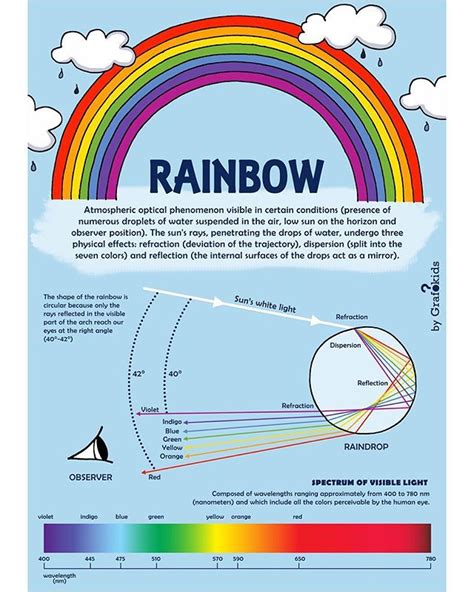 The Rainbow 🌈🌚 How Does A Rainbow Form What Is A Rainbow Rainbow