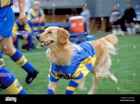 Air Bud World Pup Josh