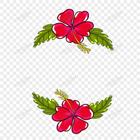 투명 그린 꽃 장식 사진 Png 흰색 투명 Png Png 일러스트 무료 다운로드 Lovepik