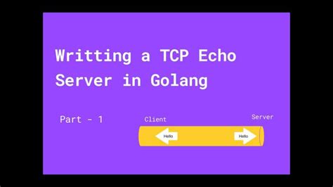 writing a simple tcp echo server in golang socket programming hindi theshareefcoder