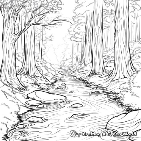 Realistic Landscape Coloring Pages Free And Printable