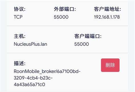 Arc Unable To Access Roon Server Arc Port Forwarding Help Roon Labs Community
