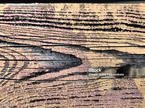 오래된 나무의 질감 그루터기 클로즈업 나무 표면의 깊은 균열 곤충 통로 나무 구조물의 초라한 상태 바람과 물이 나무에 미치는 영향 0명에 대한 스톡 사진 및 기타 이미지