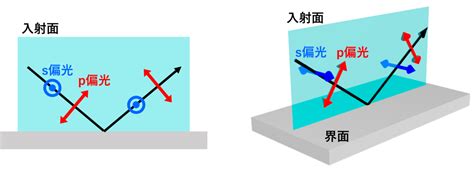 P偏光とs偏光の違い 直観的に理解する科学