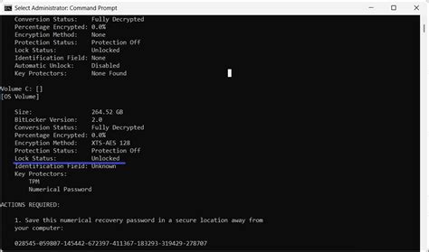 Sex No Se Puede Apagar Bitlocker En Windows 1110 Geek Global