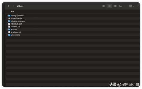 分钟搞定JetBrains全家桶激活告别繁琐步骤 哔哩哔哩