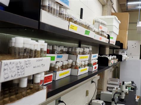 Class Lab Utm At Timothy Greenwell Blog