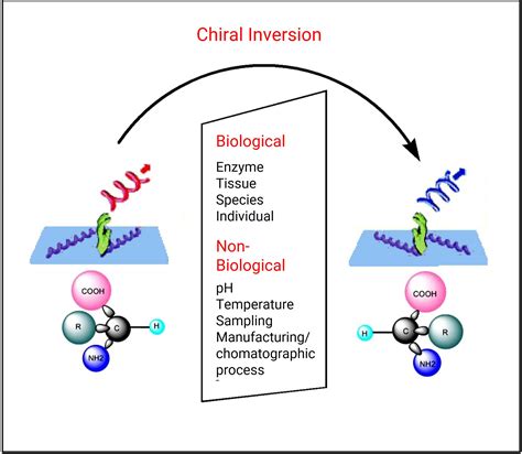 Insights Into Chiral Drug Metabolism And Inversion Wuxi Apptec Dmpk