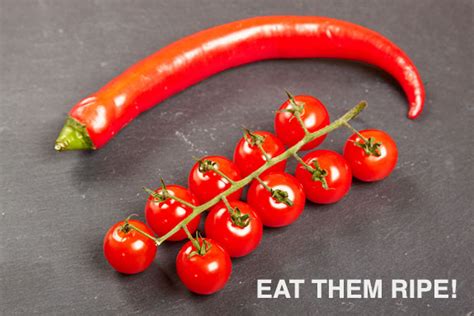 Paleo Guide To Nightshade Plants And Vegetables