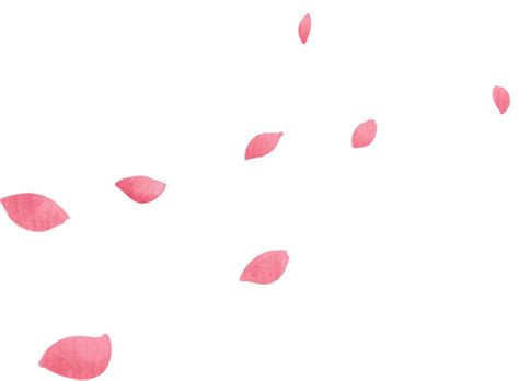桃花花瓣 包站长