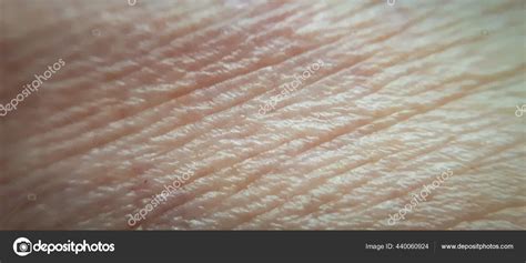 Super Macro Human Skin Caucasian Healthy Natural Skin Skin Background