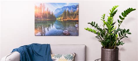 How To Hang A Canvas Without Any Fuss