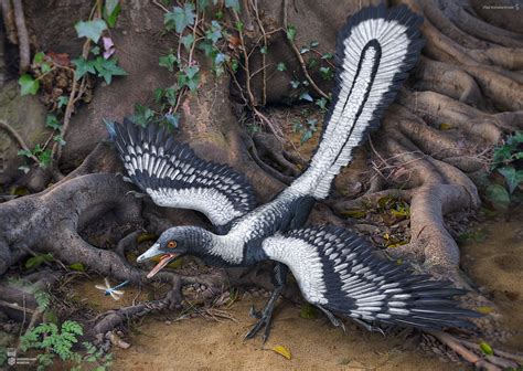 Archaeopteryx Figure At Alejandro Brown Blog
