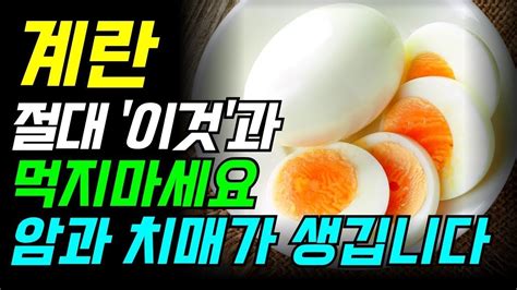 계란 절대 이것과 먹지마세요 상극인 음식 Top 3 암과 치매에 걸립니다 Youtube