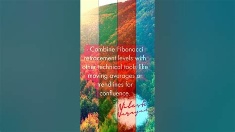 Fibonacci Retracement Secrets Fibonacci Fibonaccisequence Fibonacciseries Youtube