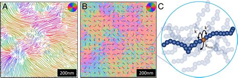 Closing The Loop Between Microstructure And Charge Transport In