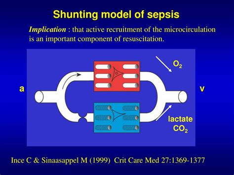 Ppt Classification Of Microcirculatory Abnormalities In Distributive Shock Can Ince Clinical