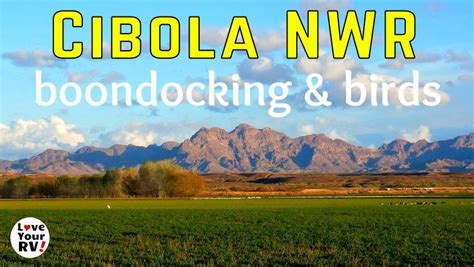 Exploring The Cibola National Wildlife Refuge