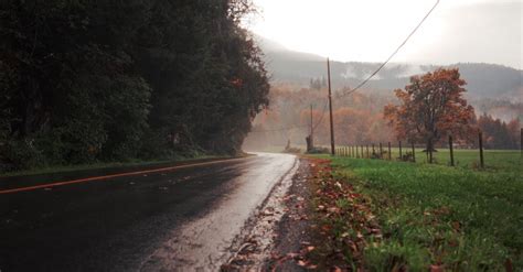 가을 가을 색 가을 시즌 가을 풍경 경치 경치가 좋은 계절 계절의 변화 고요한 나무 날씨 농촌의 단풍 도로 로드 트립 모험 박무 분위기 비