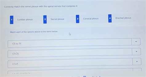 Solved Correctly Match The Nerve Plexus With The Spinal