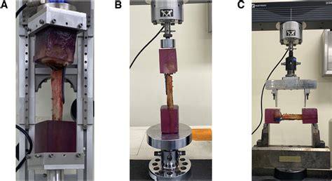 A Test For Rotational Stiffness Using A Torsional Stiffness Tester Download Scientific